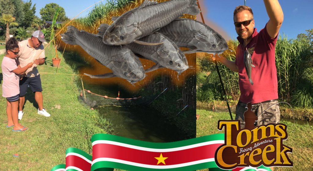 Kwie Kwie vissen - Toms Creek - The best place for Fishing & Adventures